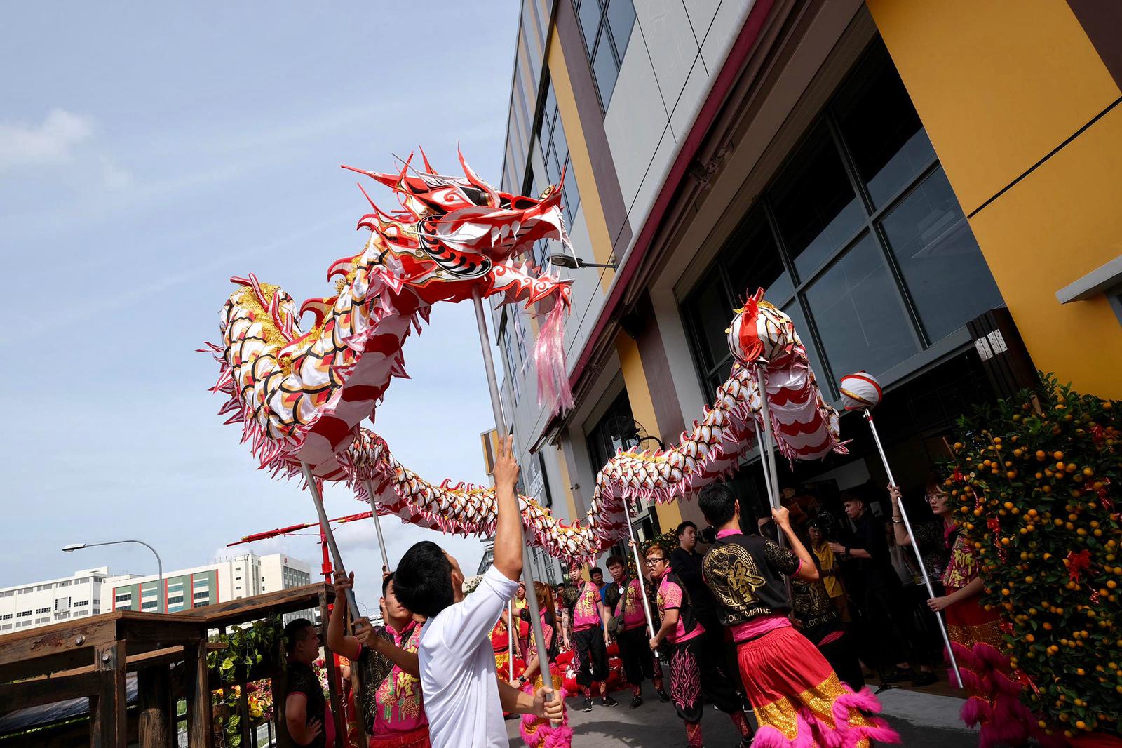 Award Winning ShiLong Dragon and Lion Dance Association | Dragon and ...